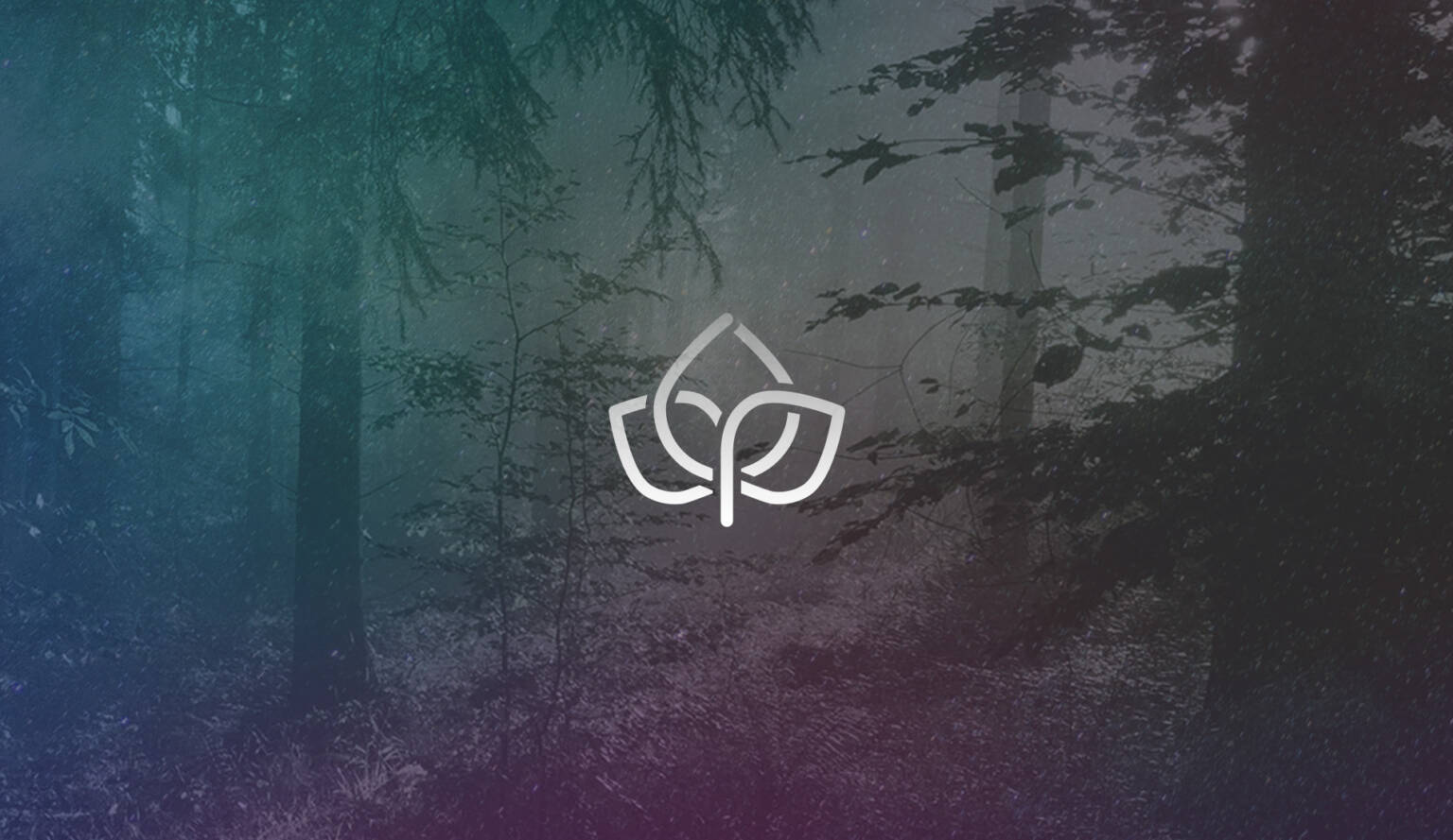 Ivy Partners - Branding innovant - Li-Nó Design Portfolio